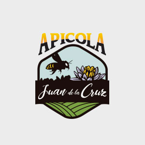 Desarrollo de sitios web, Diseño web - Emagenic Rancagua